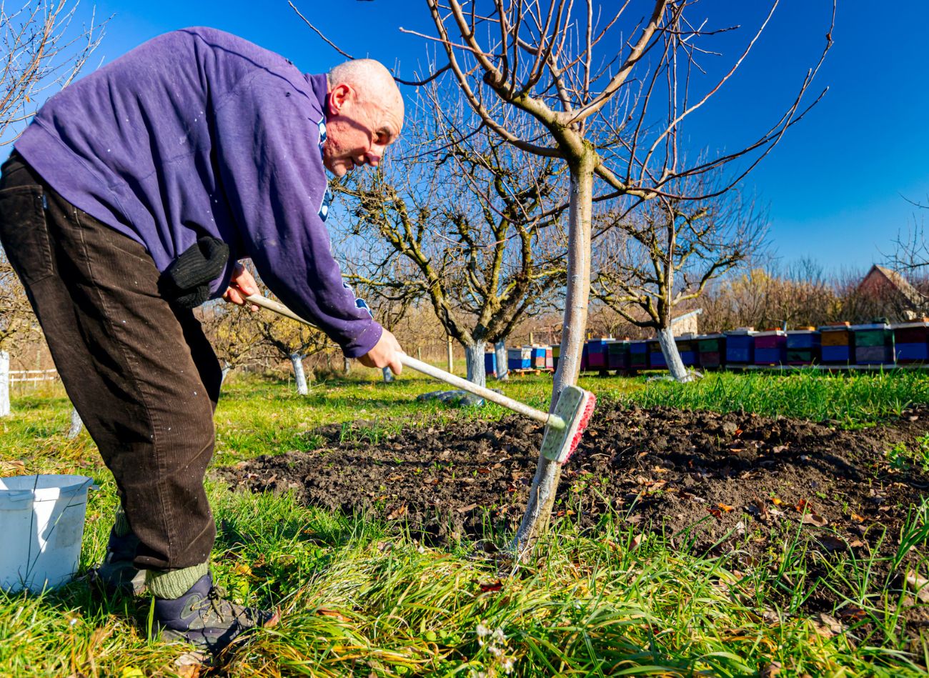 Listopad w ogrodzie - co trzeba zrobić przed zimą - Deccoria.pl