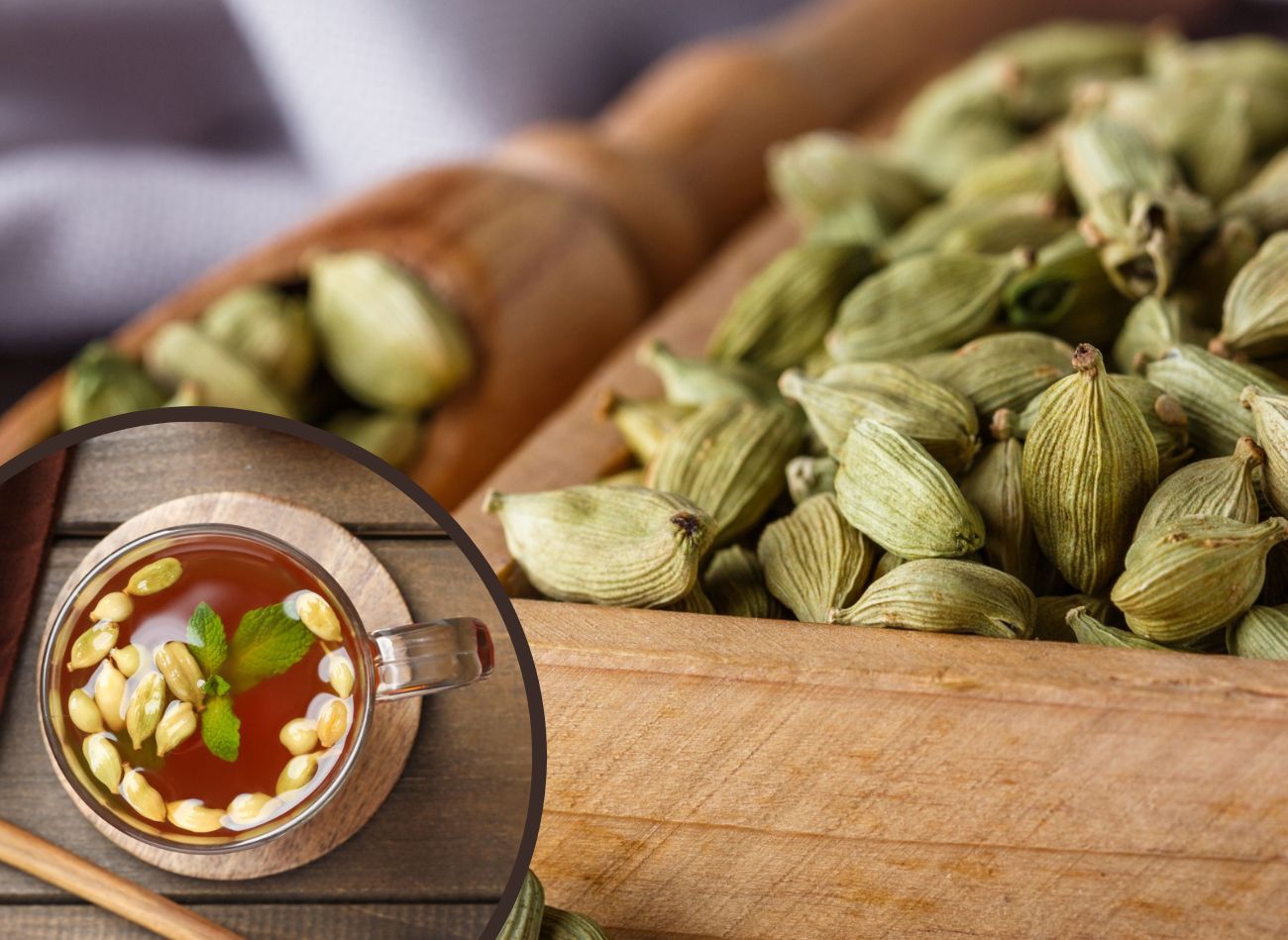 Kardamon – uprawa, właściwości, przepisy - Deccoria.pl